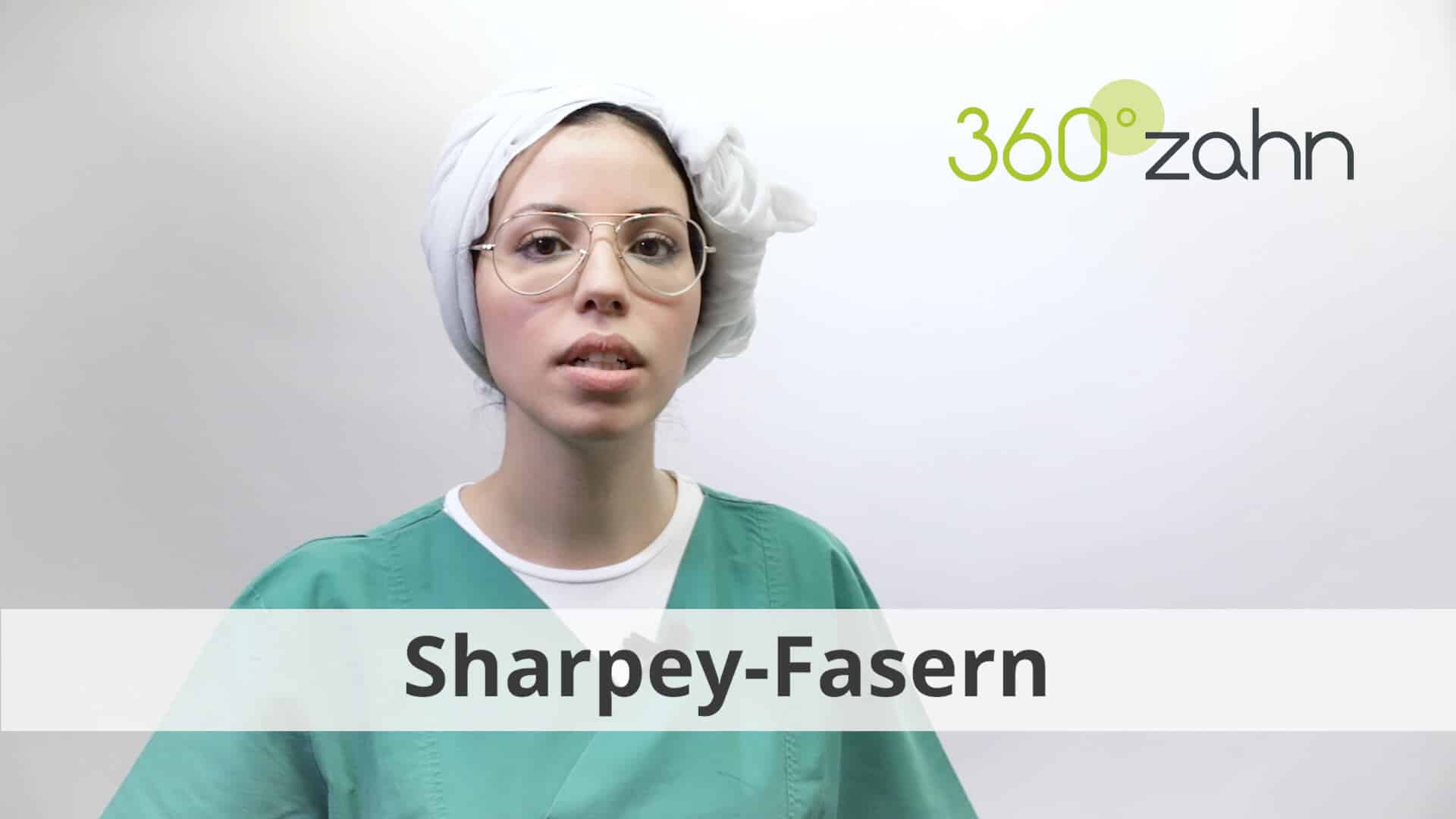 Video: Sharpey-Fasern - Dental-Lexikon - 360°zahn