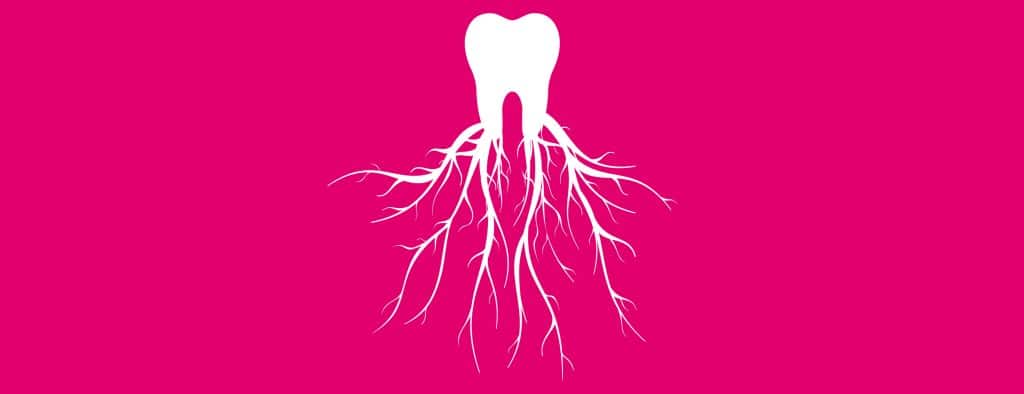 Wurzelbehandlung am Zahn | Wissenswertes Endodontie | 360°zahn