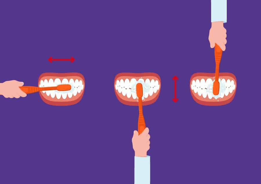 6 wichtige Zahnpflege Tipps | Richtige Zahnpflege für zu Hause | 360 ...
